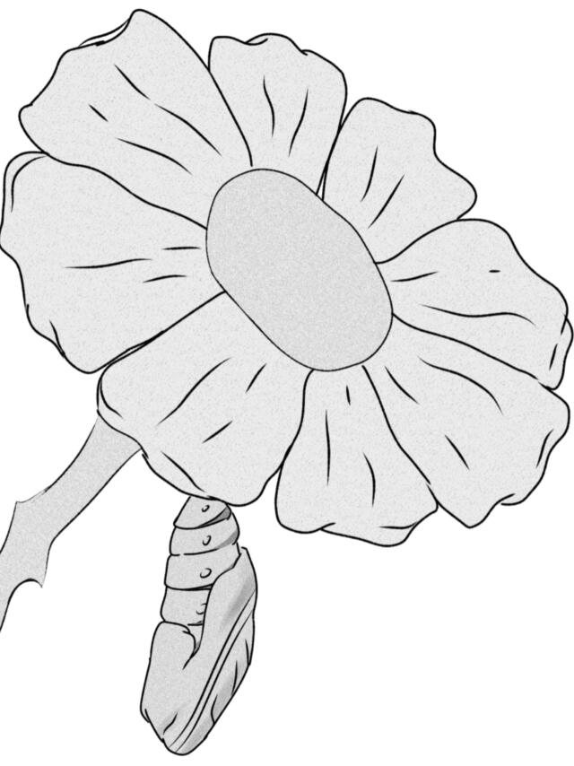 Capullo #001 | MANGA Plus Creators by SHUEISHA